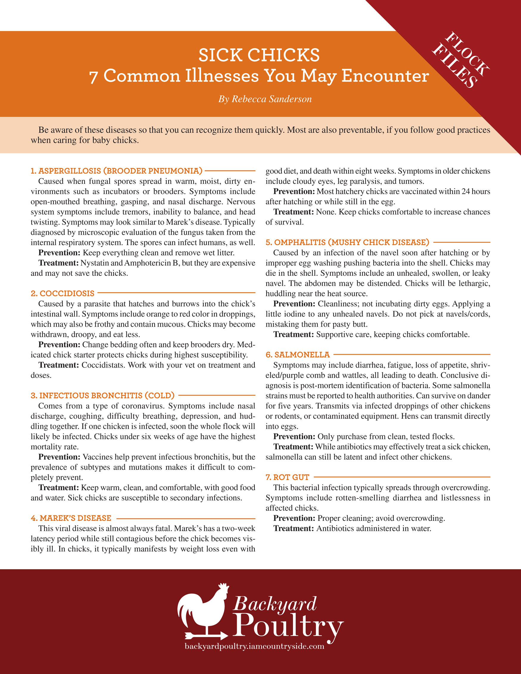 Sick Chicks: 7 Common Illnesses You May Occur - Backyard Poultry